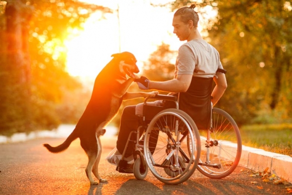 6 Tips For Coping With Daily Wheelchair Use - Stellar Transportation
