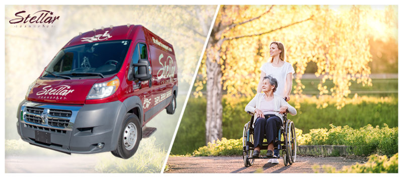 Fall Activities to Enjoy - Stellar Transportation